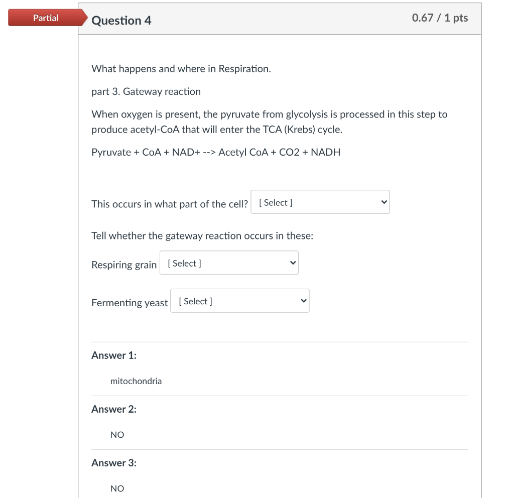 Solved Partial Question 4 0.67 / 1 pts What happens and | Chegg.com