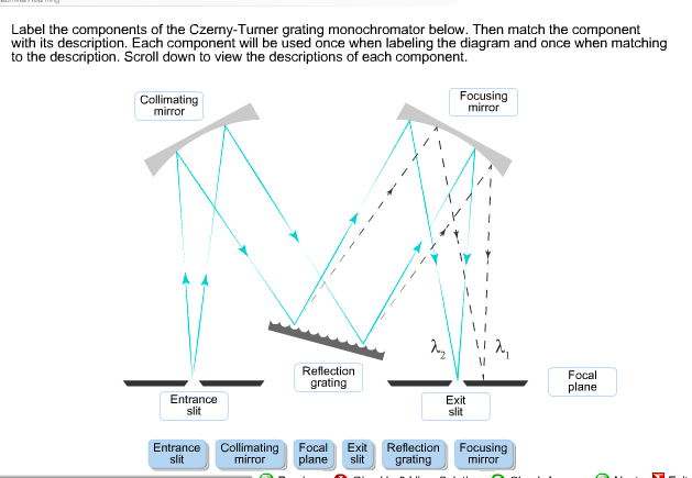 Solved Label the components of the Czermy-Turner grating | Chegg.com