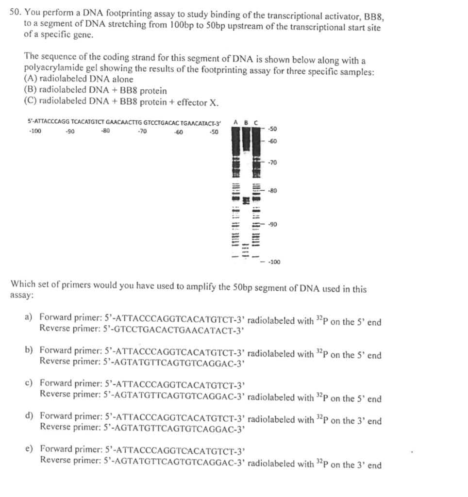 Solved 50. You perform a DNA footprinting assay to study | Chegg.com