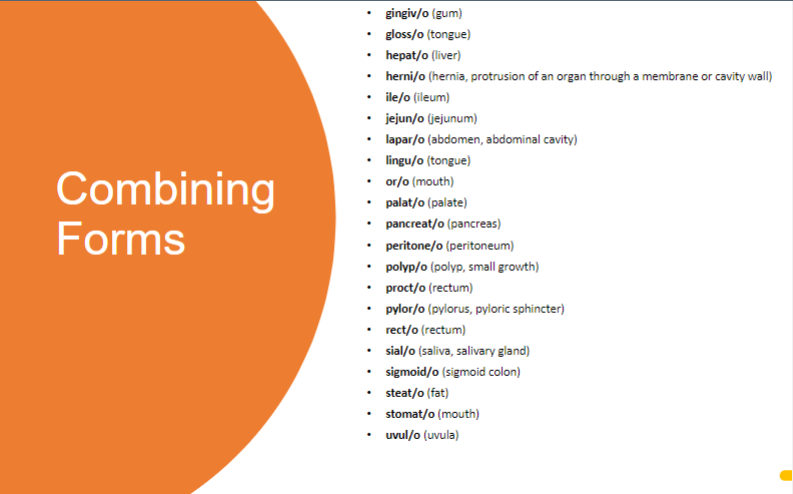 Solved Combining Forms • abdomin/0 (abdomen, abdominal) • | Chegg.com
