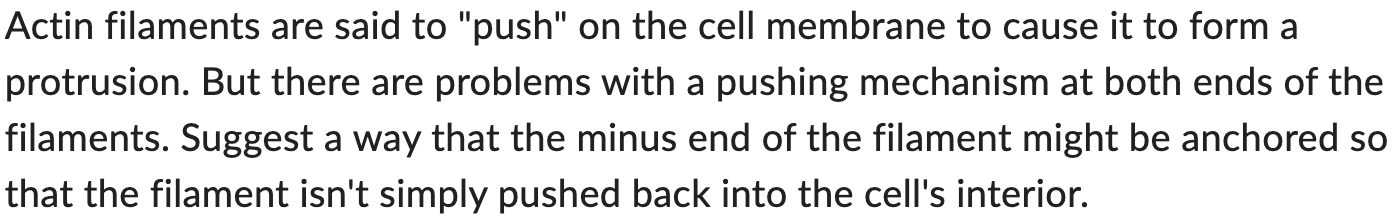 Solved Actin filaments are said to "push" on the cell | Chegg.com