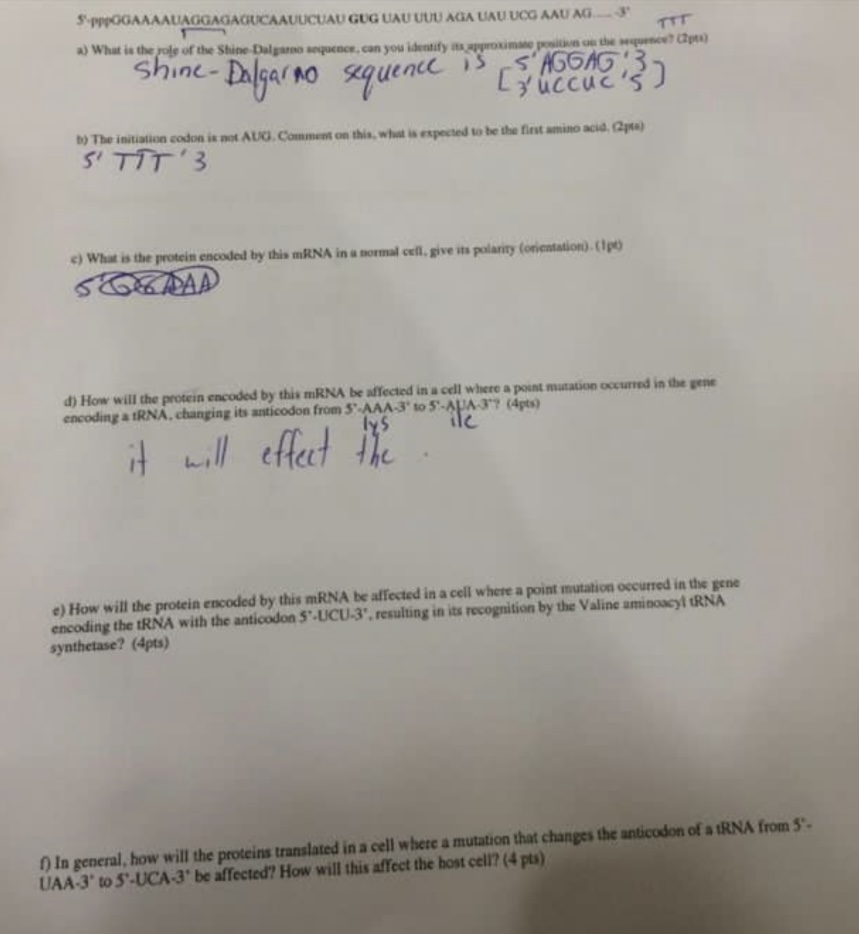 Solved Shine-Dalgarno sequence is [5;AGGAG;3z′uccuc] S'TT' 3 | Chegg.com