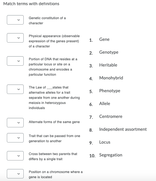 Solved Match terms with definitions Genetic constitution of | Chegg.com