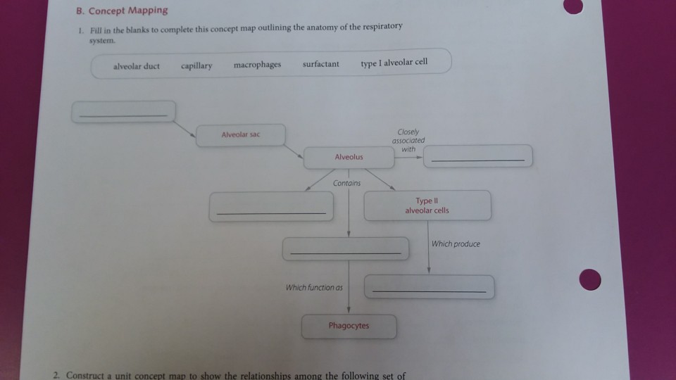 Solved B. Concept Mapping . Fill in the blanks to complete | Chegg.com Solved B. Concept Mapping . Fill in the blanks to complete | Chegg.com