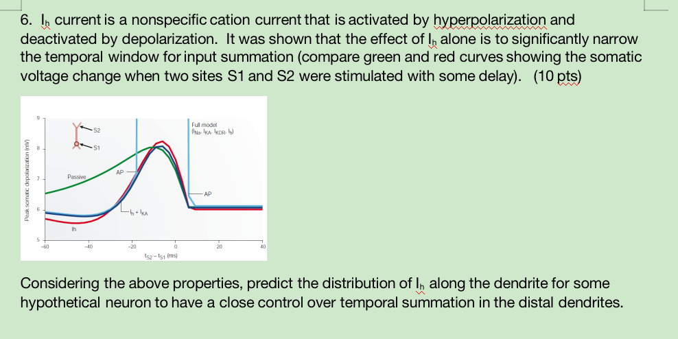 Solved 6 In Current Is A Nonspecific Cation Current That Is