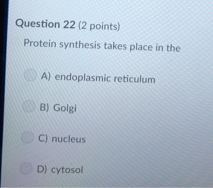 Solved Question 22 (2 points) Protein synthesis takes place | Chegg.com