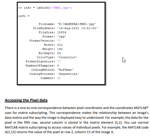 Solved Introduction to Medical Image processing in MATLAB | Chegg.com