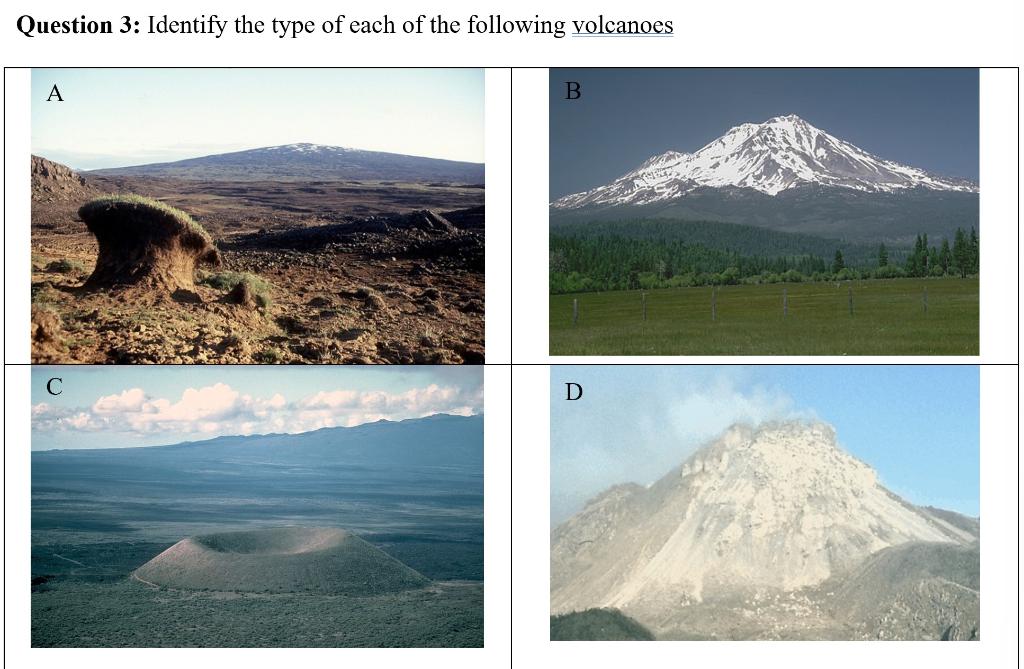 Solved Question 3: Identify the type of each of the | Chegg.com