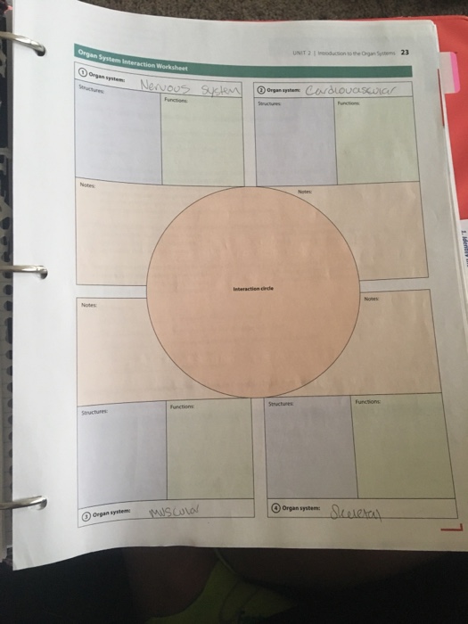 Solved system Interaction worksheet O organs Introducson to | Chegg.com