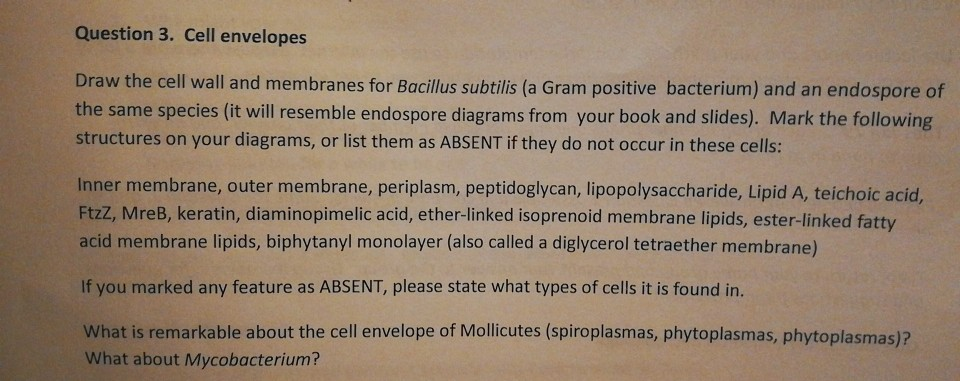 Solved Question 3. Cell envelopes Draw the cell wall and | Chegg.com