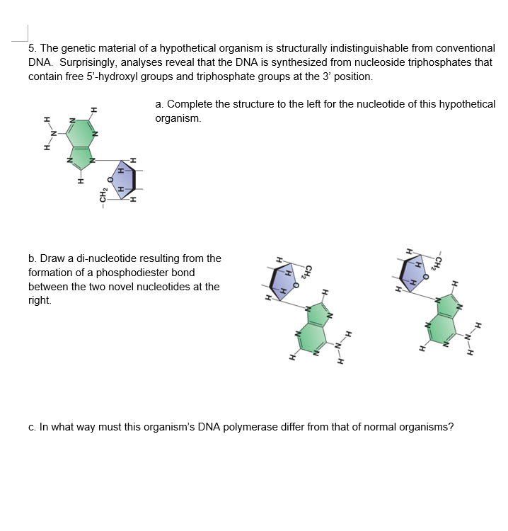 Solved 5. The genetic material of a hypothetical organism is | Chegg.com
