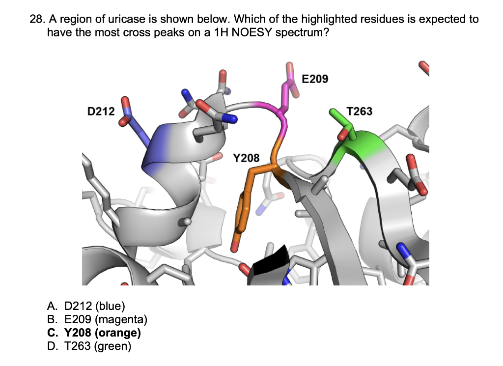Solved 28. A region of uricase is shown below. Which of the | Chegg.com