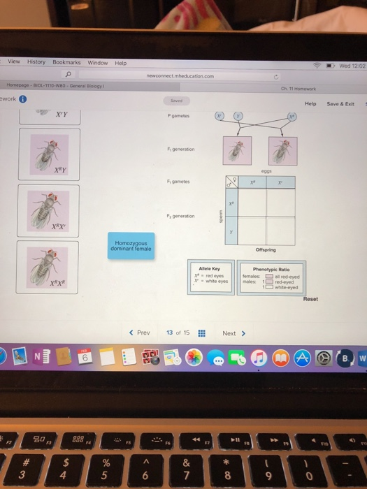 Solved Edit View History Bookmarks Window Help ·11 Homework | Chegg.com