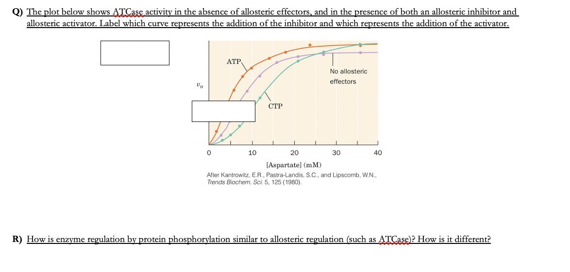 Solved Q) The plot below shows ATCase activity in the | Chegg.com