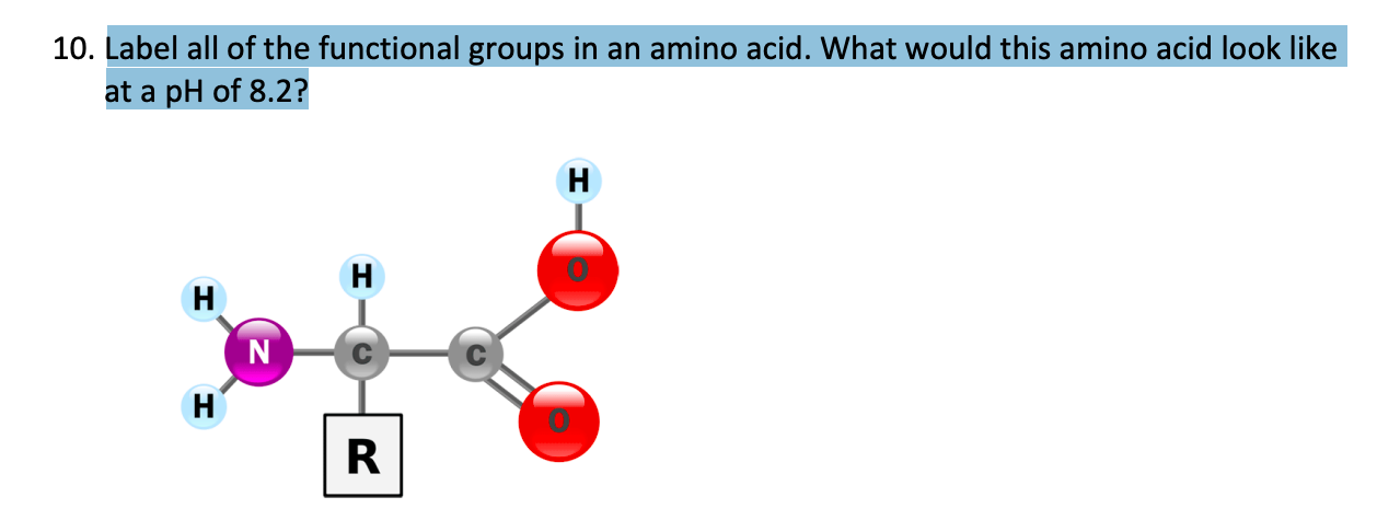 Amino Functional Group