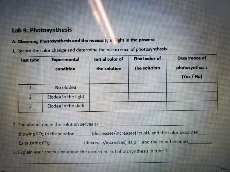 Solved Lab 9. Photosynthesis A. Observing Photosynthesis and | Chegg.com