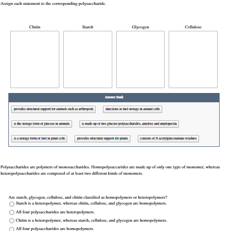 Solved Assign each statement to the corresponding | Chegg.com