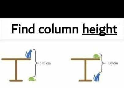Solved Find column height - 170 cm 130 cm T | Chegg.com