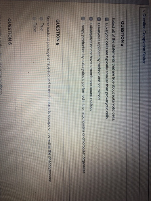 Solved Question Completion Status QUESTION 4 Select all of | Chegg.com