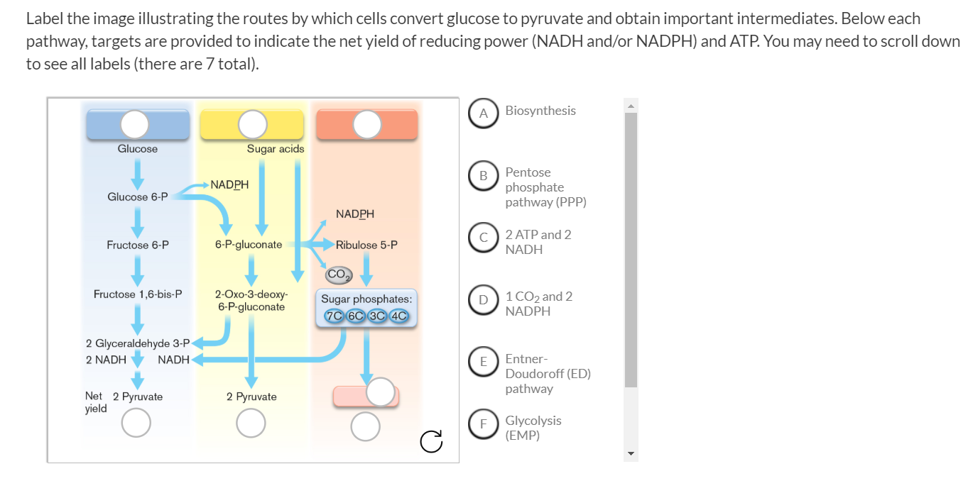 Solved Label the image illustrating the routes by which | Chegg.com