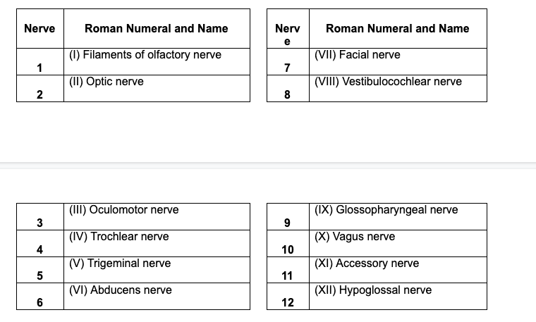 Solved Nerve Roman Numeral and Name Nerv e Roman Numeral and | Chegg.com