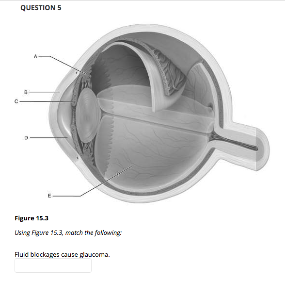 Solved QUESTION 4 A E Figure 15.3 Using Figure 15.3, match | Chegg.com