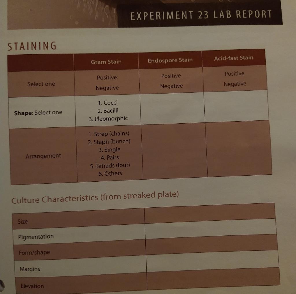 Solved EXPERIMENT 23 LAB REPORT STAINING Acid-fast Stain | Chegg.com