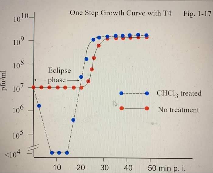 Solved In the one step growth curve, why does the pfu/ml | Chegg.com