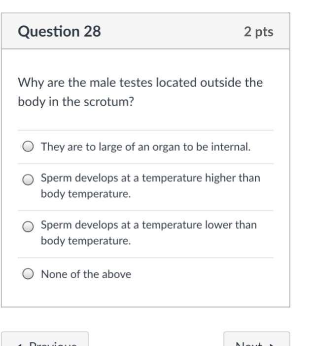 Solved Question 28 2 pts Why are the male testes located | Chegg.com