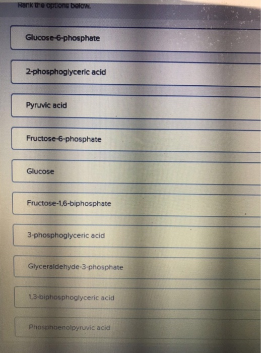 Solved Identify each image shown below. Then click and drag | Chegg.com