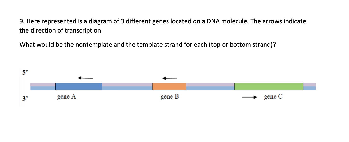 Solved 9. Here represented is a diagram of 3 different genes | Chegg.com