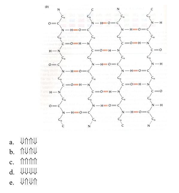 Solved From left to right, what is the orientation of the | Chegg.com