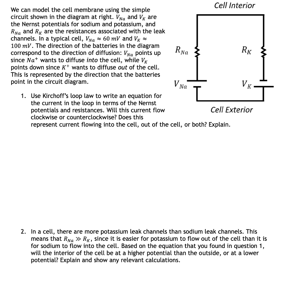 Solved We can model the cell membrane using the simple | Chegg.com