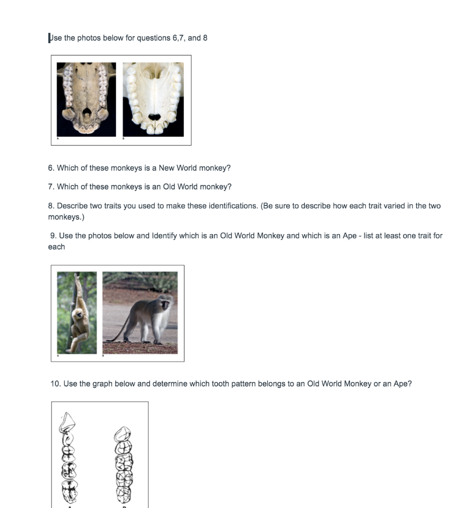 Solved se the photos below for questions 6,7, and 8 6. Which | Chegg.com