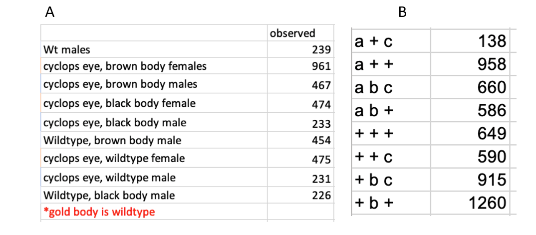 Solved Please look at Part A only and come up with a genetic | Chegg.com