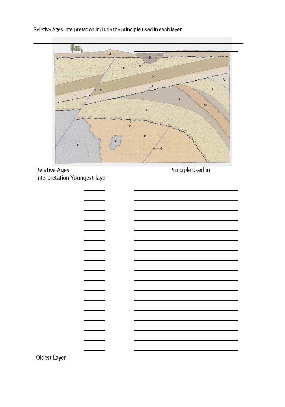 Solved Relative Ages Interpretation include the principle | Chegg.com