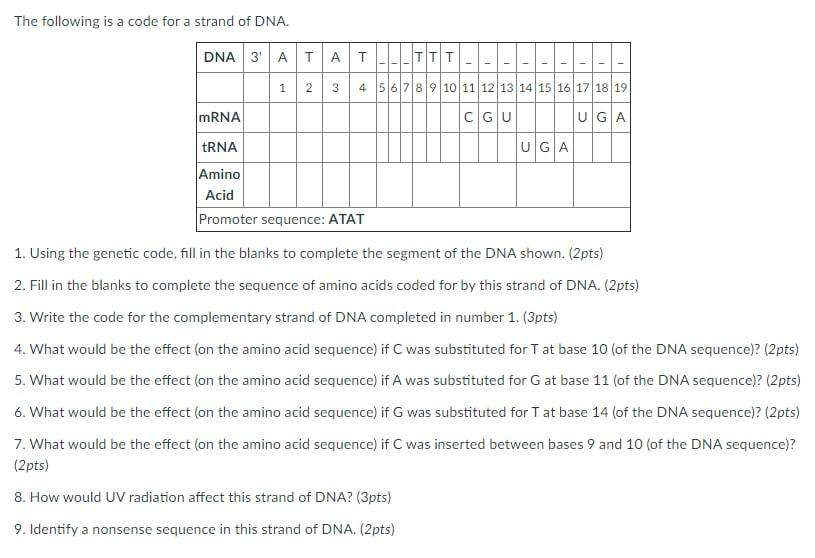 Solved The following is a code for a strand of DNA. - - - 1 | Chegg.com