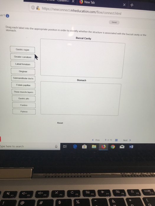 Solved e CuhlmaNew Tab ค. https://newconnect.mh | Chegg.com