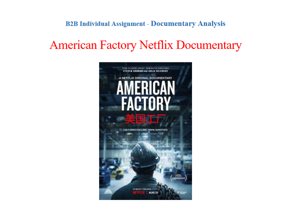 Solved B2B Individual Assignment - Documentary Analysis | Chegg.com