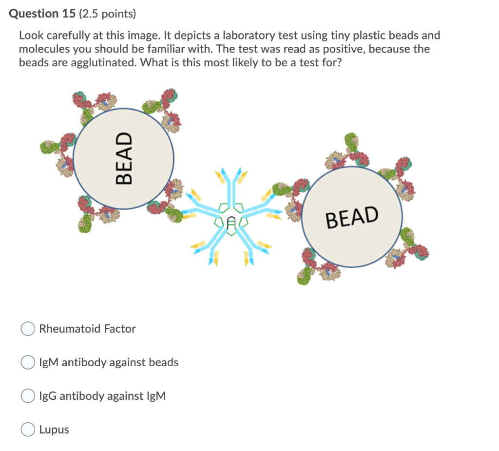 Solved Question 15 (2.5 points) Look carefully at this | Chegg.com
