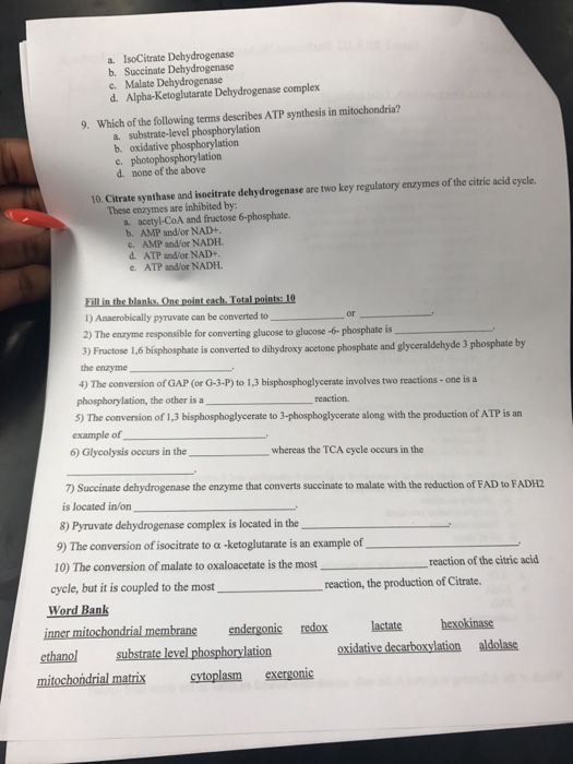 Solved Which of the following terms describes ATP synthesis | Chegg.com