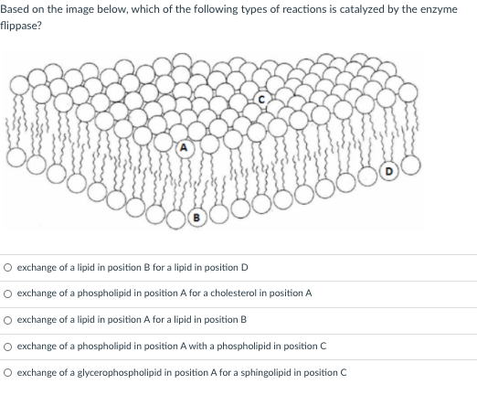 Solved Based on the image below, which of the following | Chegg.com