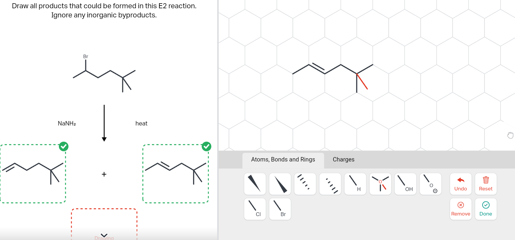 Solved Draw all products that could be formed in this E2 | Chegg.com