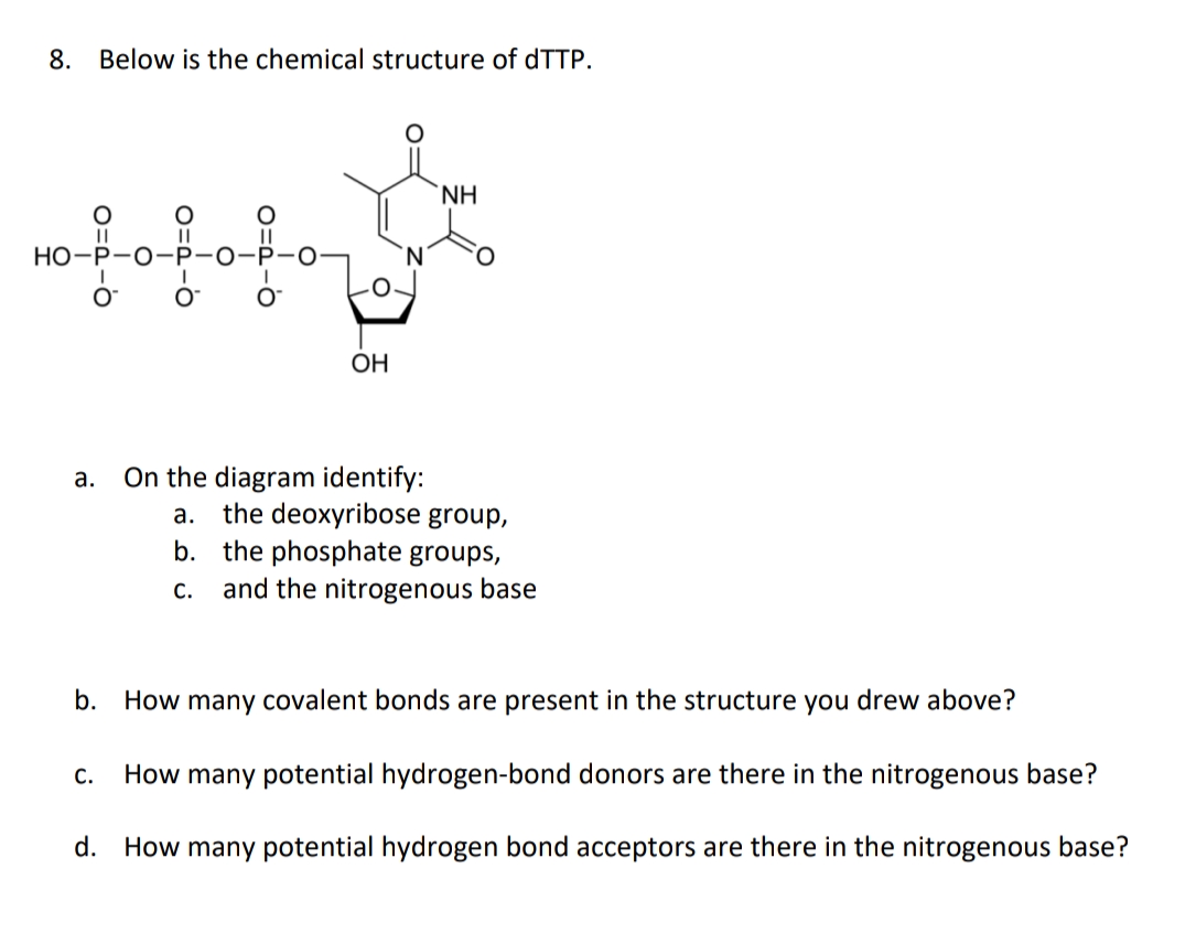 Solved 8. ﻿Below is the chemical structure of dTTP.a. ﻿On | Chegg.com