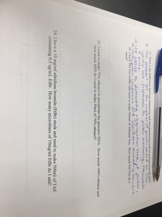 Solved What is the different between denaturing and | Chegg.com