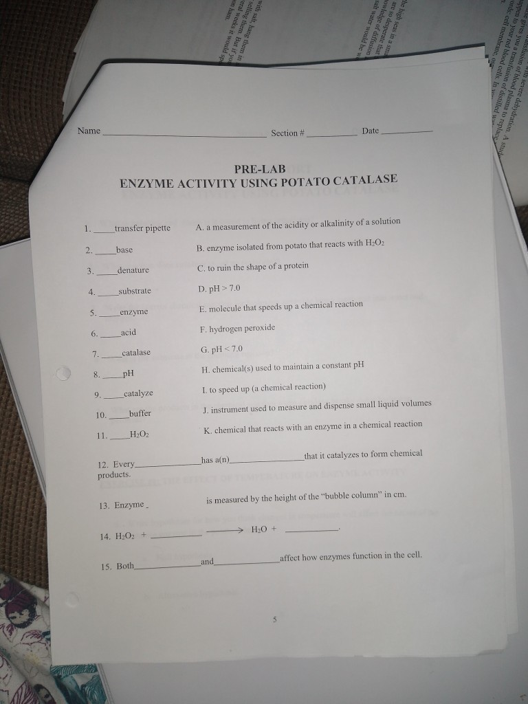 Solved Name Section # Date PRE-LAB ENZYME ACTIVITY USING | Chegg.com