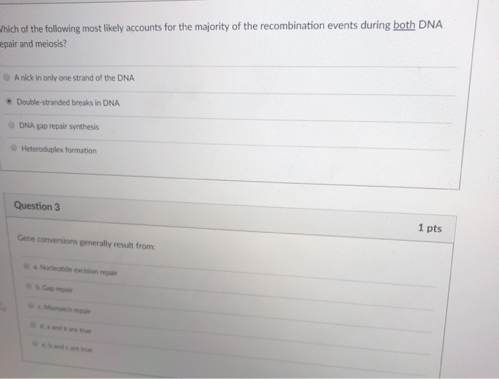 Solved The Holiday model is used to explain which of the | Chegg.com