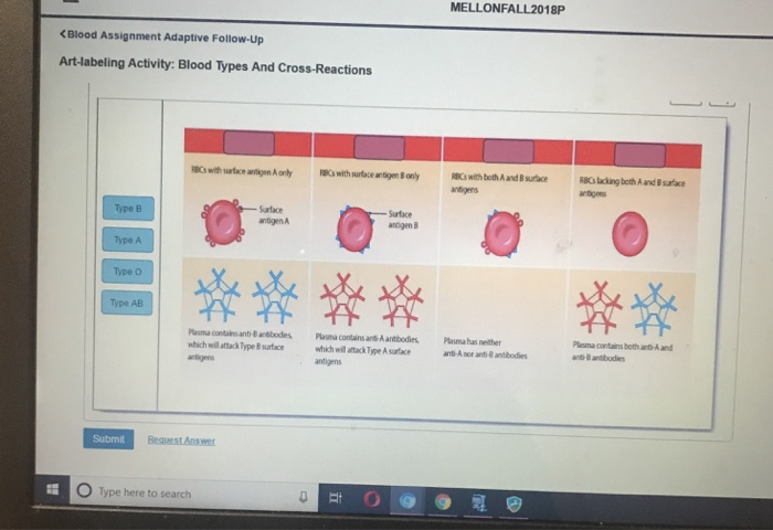 Solved MELLONFALL 2018P Blood Assignment Adaptive Follow-Up | Chegg.com