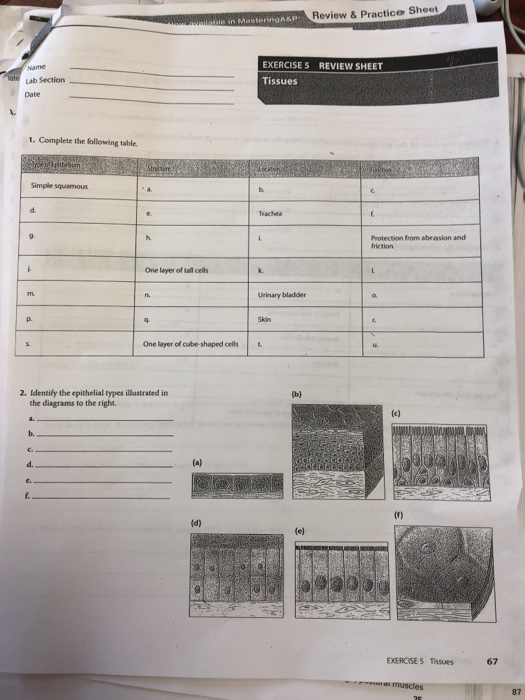 Solved Review & Practice Sheet asteringAsp EXERCISES REVIEW | Chegg.com