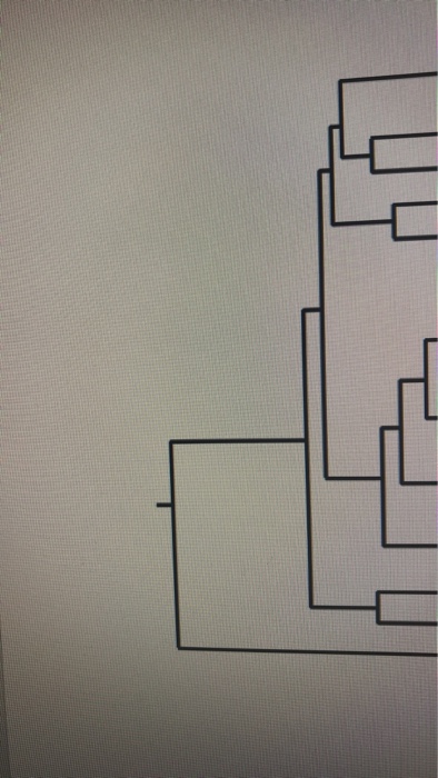 Solved Ortholog and paralog. Give an example on how to label | Chegg.com